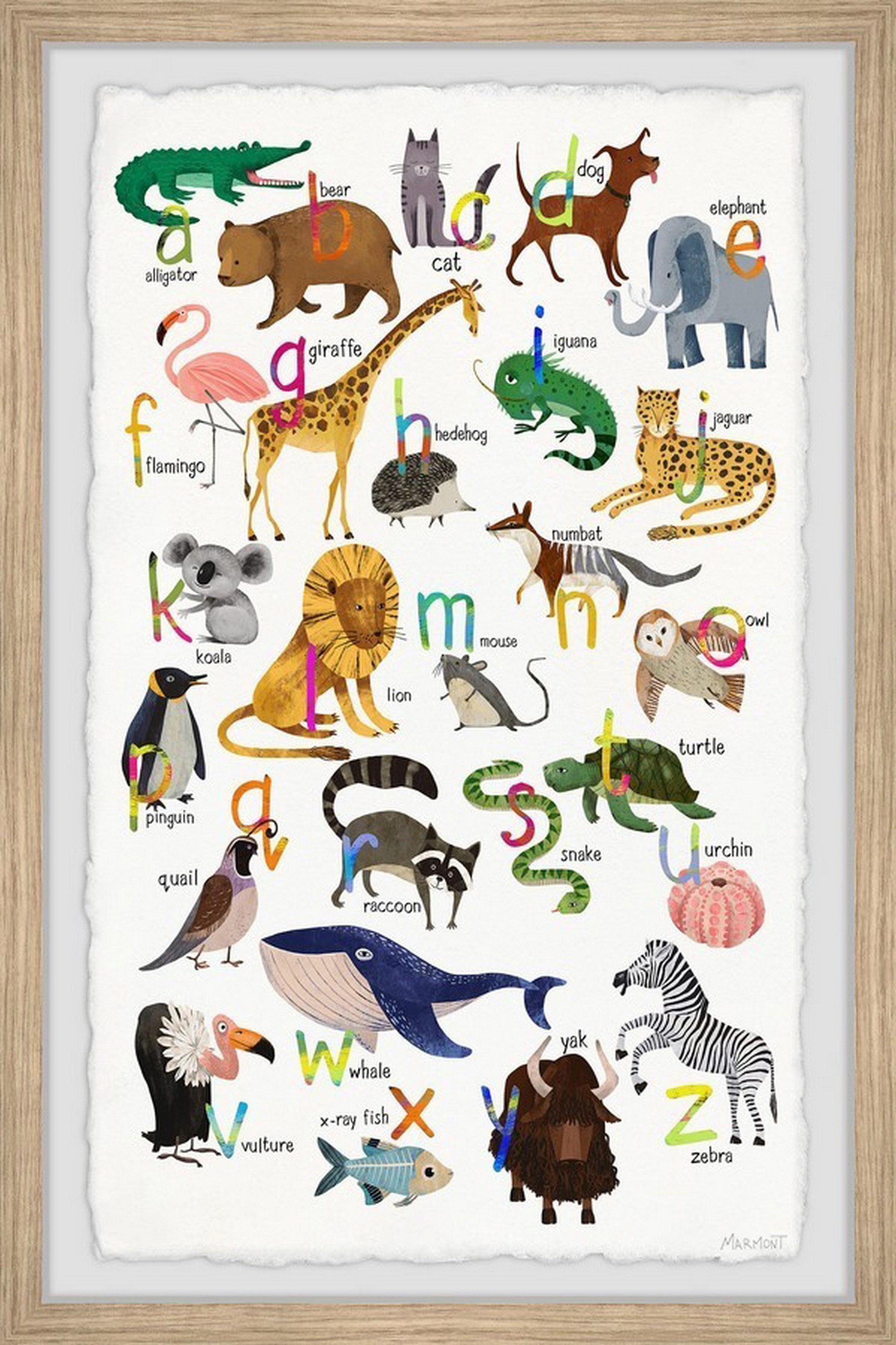 Harriet Bee Olavo Wildlife Alphabet Framed Print | Wayfair