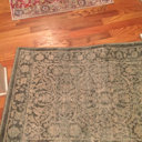 Threadbind Benson Oriental Indoor Rug & Reviews | Wayfair