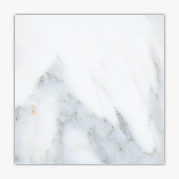 Direct Stone Source Calacatta 24" x 24" Marble Singular Wall & Floor ...