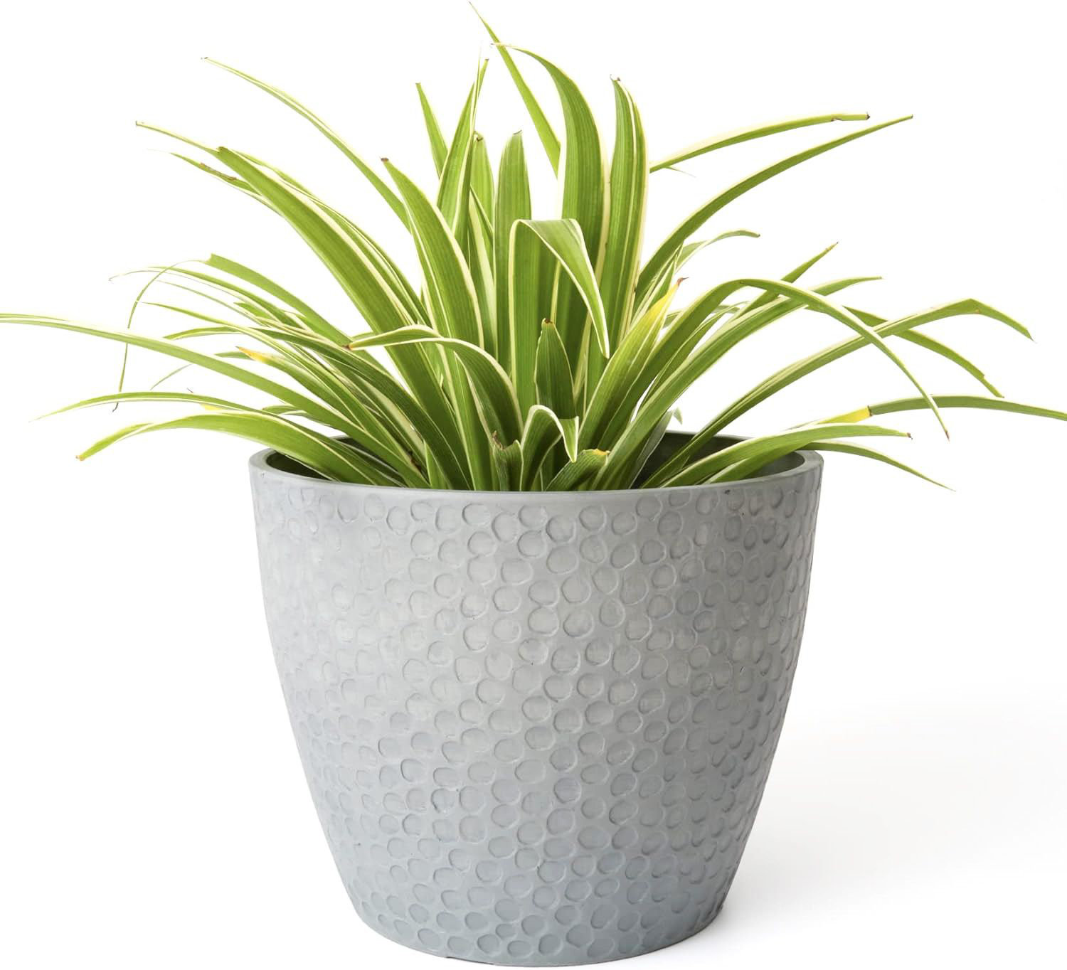 Ameriwood Color Planter | Wayfair