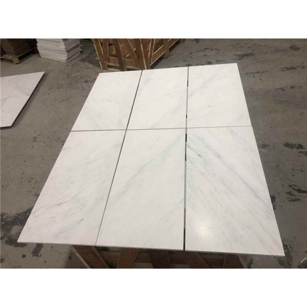 Stone & Tile Shoppe, Inc. 12" x 24" Marble Marble Look Wall & Floor ...