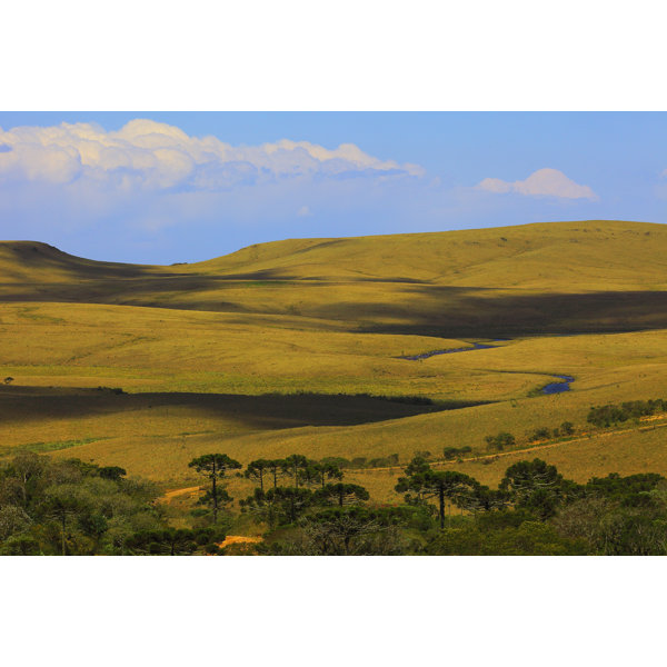 Alpen Home Pampa Field In Southern Brazil by Agustavop - Print ...