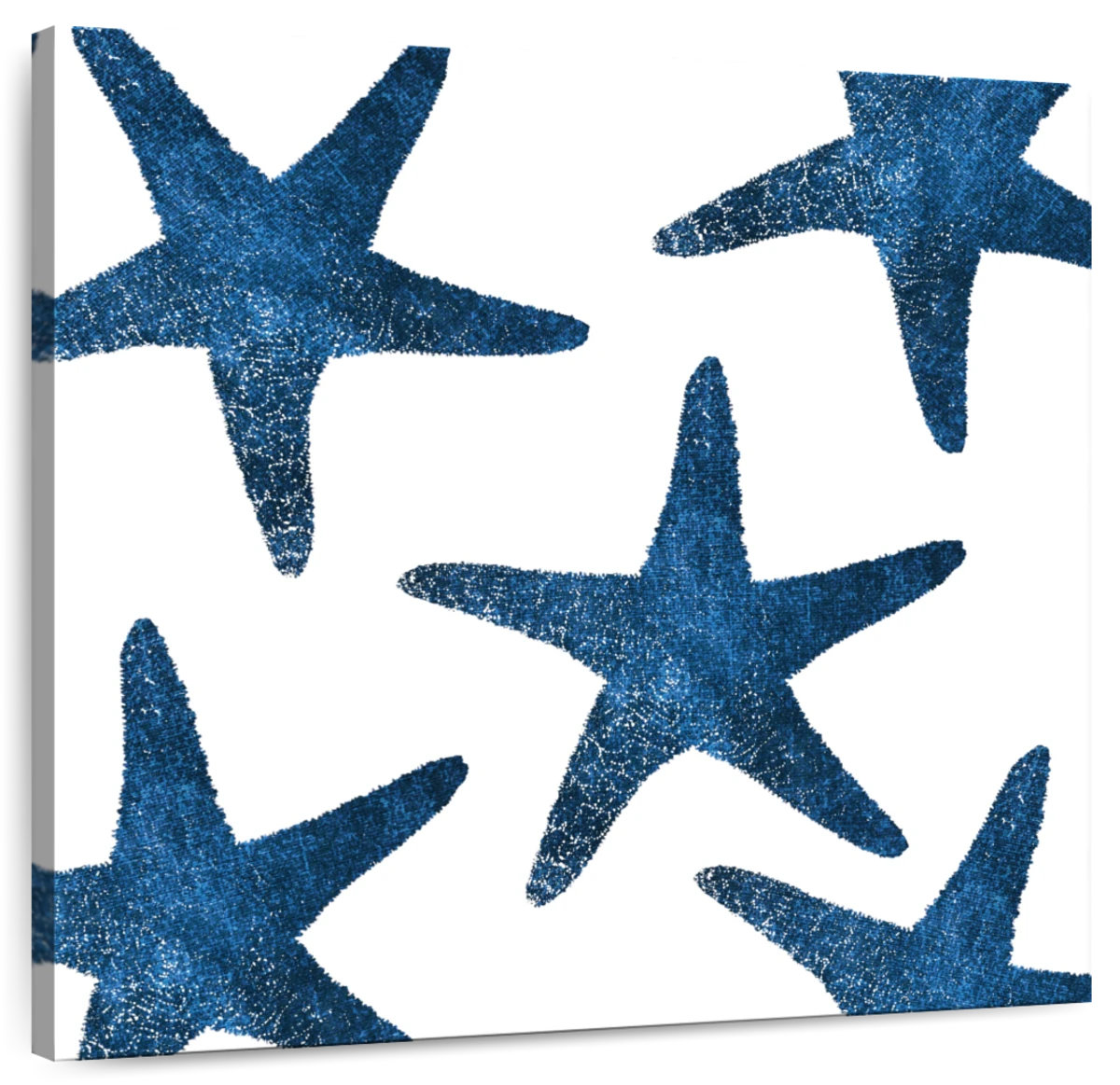 Breakwater Bay Aletra Navy Starfish Collage | Wayfair