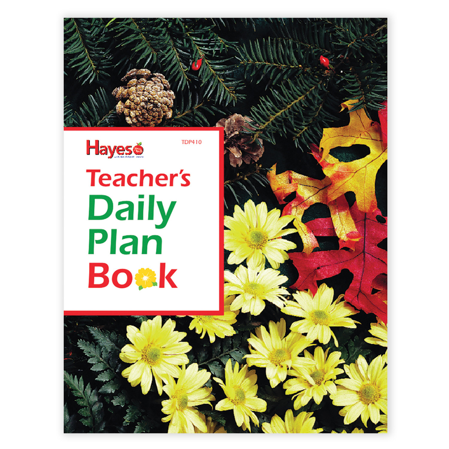 Hayes School Publishing Teachers Daily Lesson Planner | Wayfair