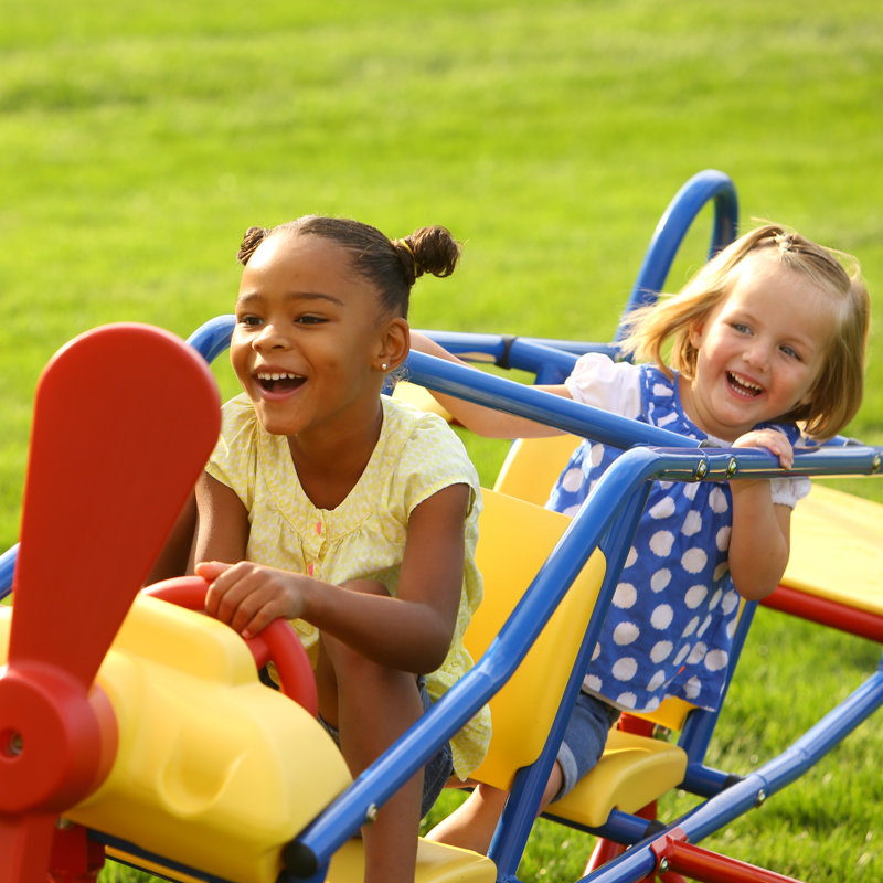 Lifetime Primary Color Ace Flyer & Reviews | Wayfair