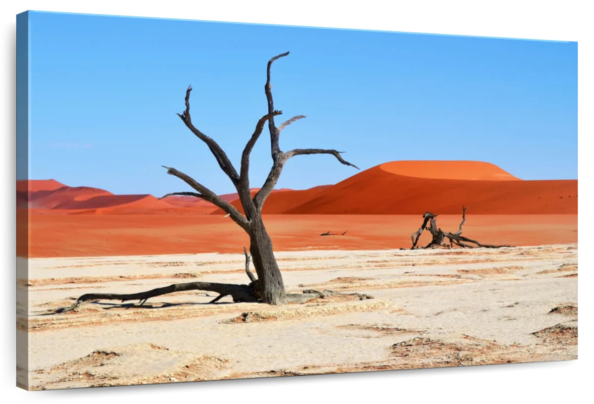 Millwood Pines Alvord Red African Sand Dunes | Wayfair