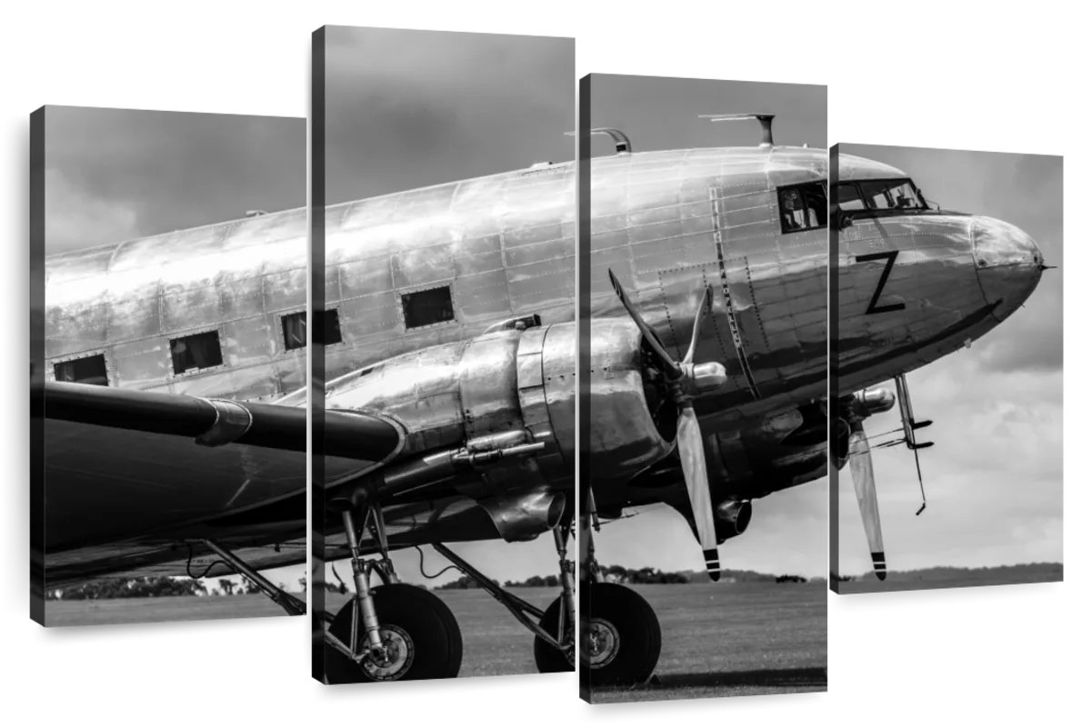 Elephant Stock Black And White Aircraft | Wayfair
