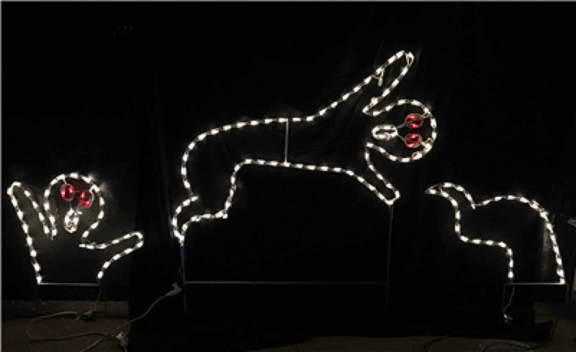 Lori's Lighted D'Lites Animated Ghost Halloween Lighted Display | Wayfair