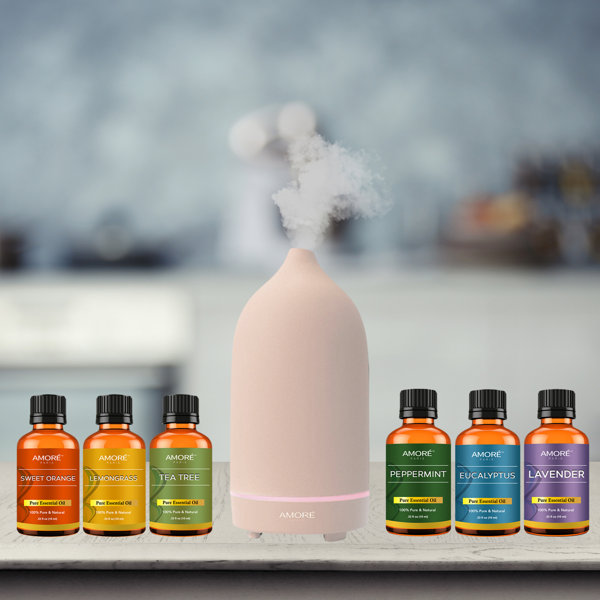 Amore Paris Plug-in Essential Oil Diffusers | Wayfair