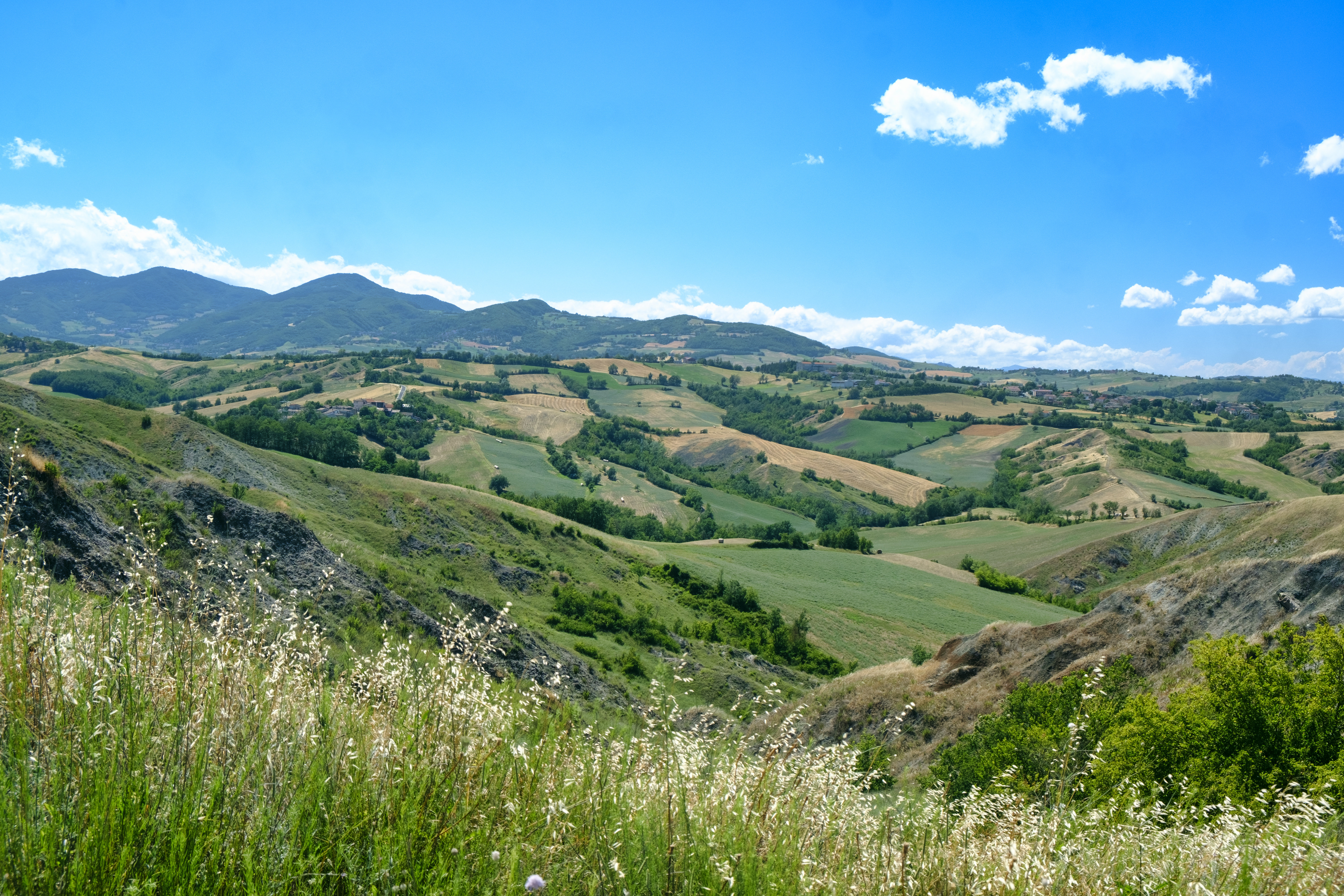 Alpen Home Foyil Rivalta Di Lesignano, Parma - Wrapped Canvas ...