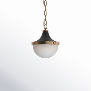 Willa Arlo™ Interiors Layla 1 - Light Bowl Pendant & Reviews | Wayfair