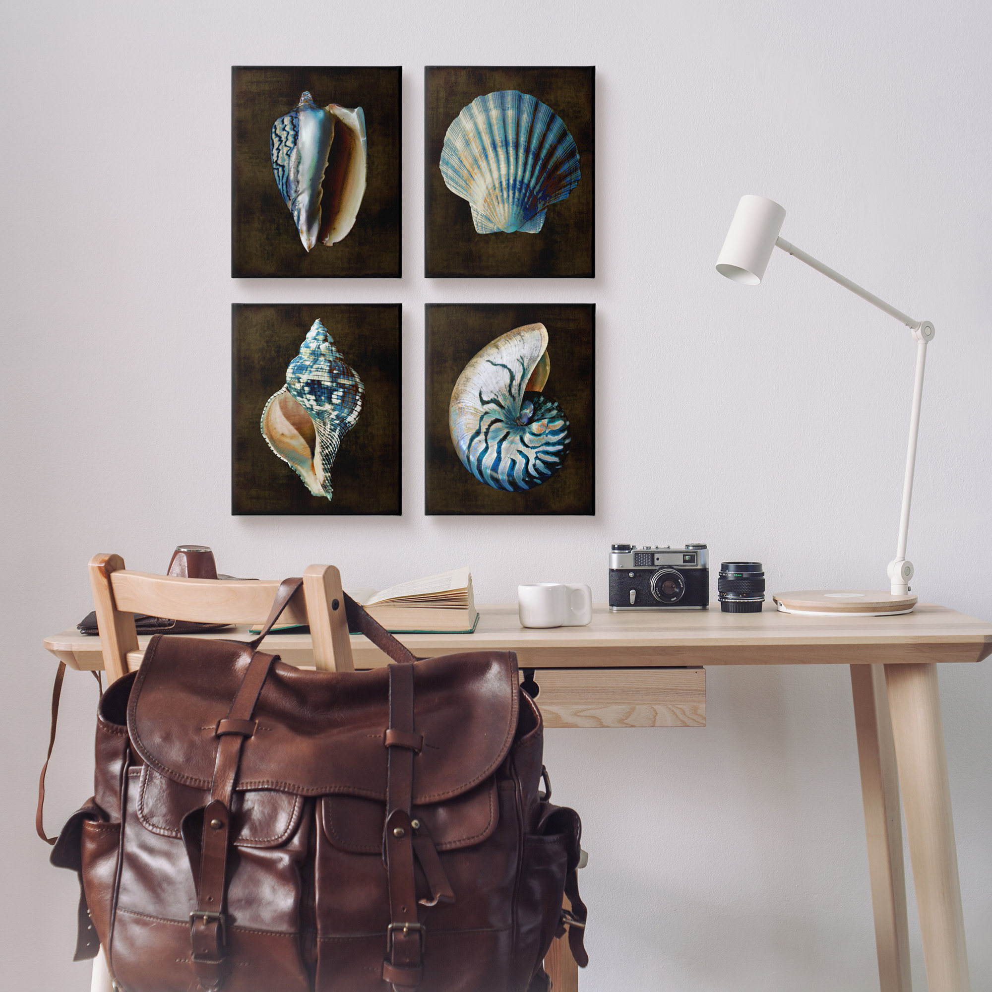 Highland Dunes Seashells On Black On Canvas 4 Pieces by Caroline Kelly ...
