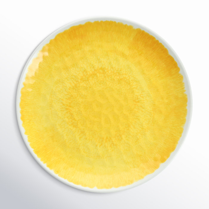 Fortessa Shasta Melamine Dessert Plate | Birch Lane