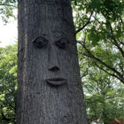 GenuineTreePeeple Simon Tree Face Concrete Garden Decor & Reviews | Wayfair