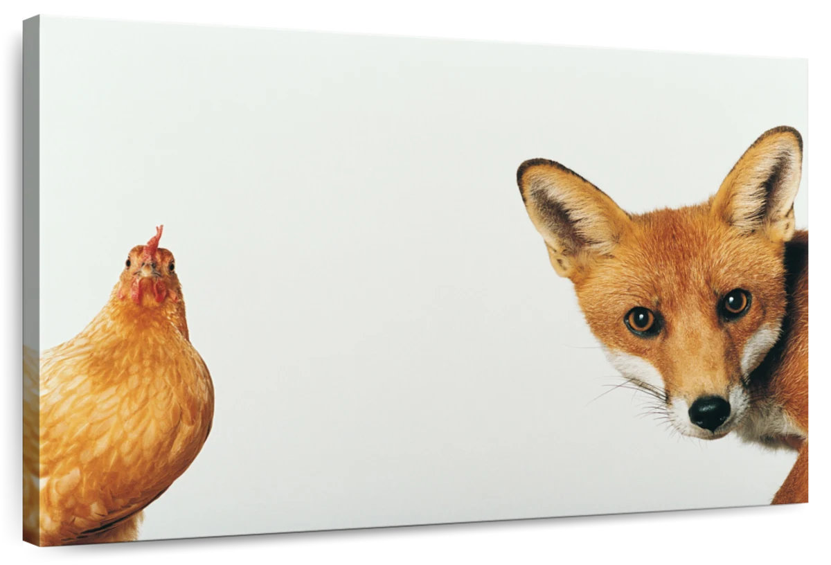 Ebern Designs Brampt Chicken And Fox | Wayfair
