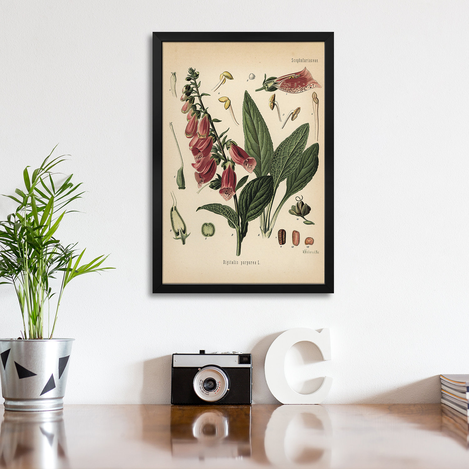 Red Barrel Studio® Purple Foxglove - Wall Art Print - Gallery Poster ...