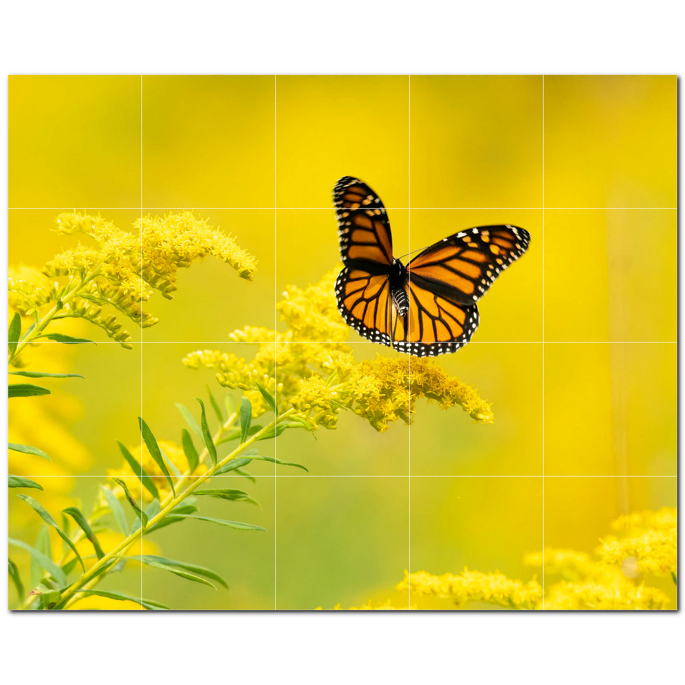 Picture-Tiles.com 12'' x 12'' Satin Ceramic Decorative Mural - Wayfair ...
