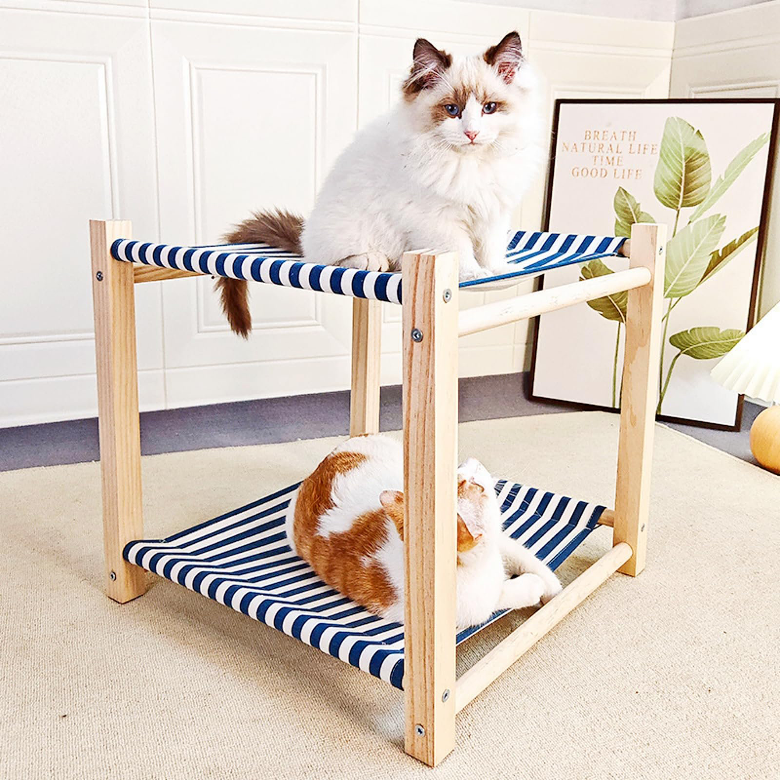 Archie & Oscar™ 2 Layer Cat Hammock Bed | Wayfair