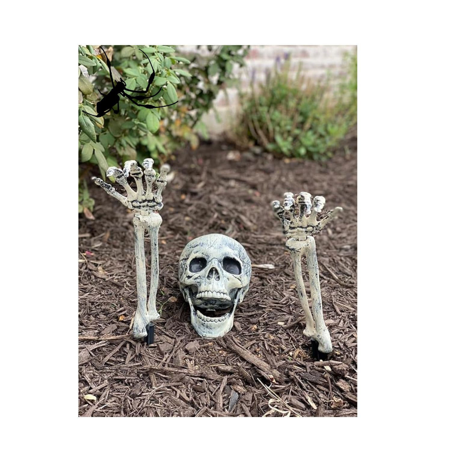 Alcott Hill® Realistic Skeleton Lawn Stakes for Spooky Halloween Decor ...