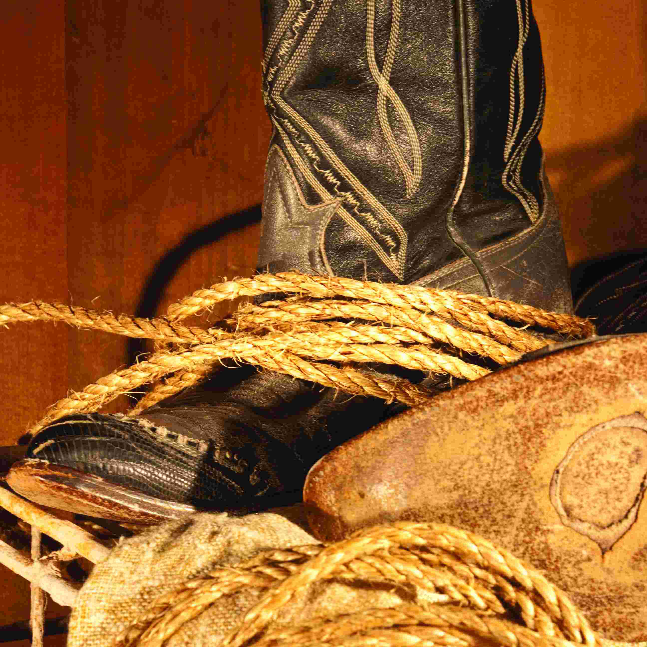 Union Rustic Boot Still Life - Wrapped Canvas Print | Wayfair