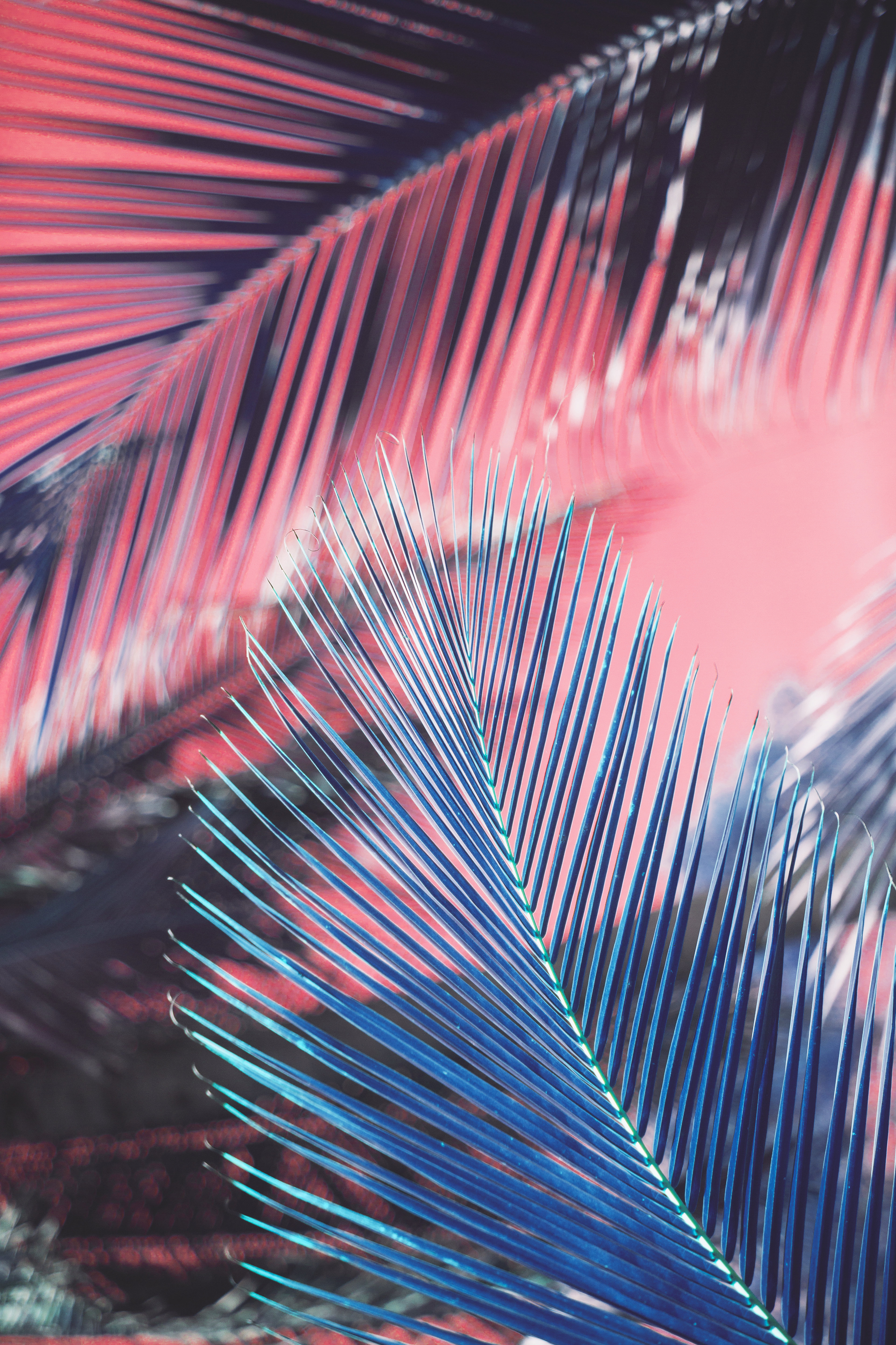 17 Stories Neon colored palm tree | Wayfair.ie