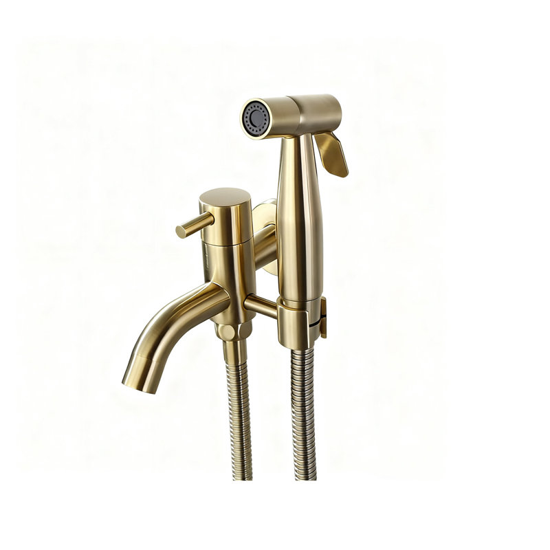 Canora Grey Bidet Douche Set For Bathroom Toilet,Single Hole,Gold ...
