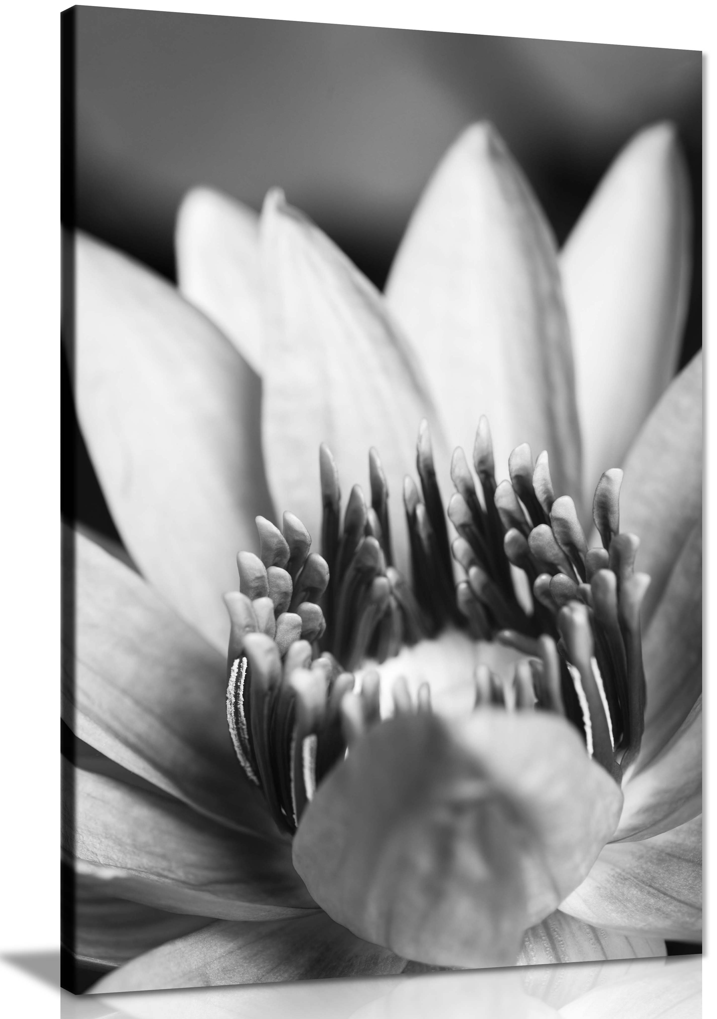Panther Print Flower Close up - Wrapped Canvas Photograph | Wayfair.co.uk