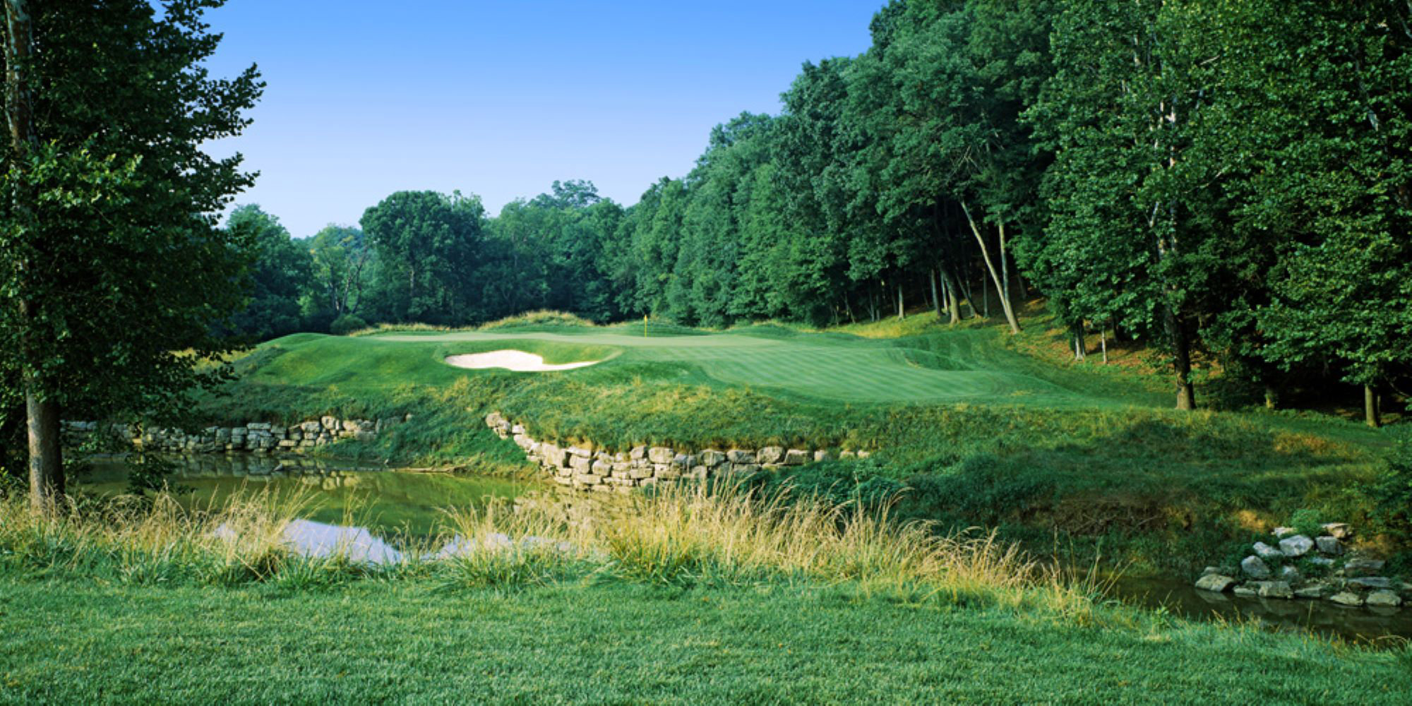 Millwood Pines Gallo Valhalla Smooth Wall Mural | Wayfair