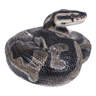 Hi-Line Gift Ltd. REGIUS BALL PYTHON STATUE & Reviews | Wayfair