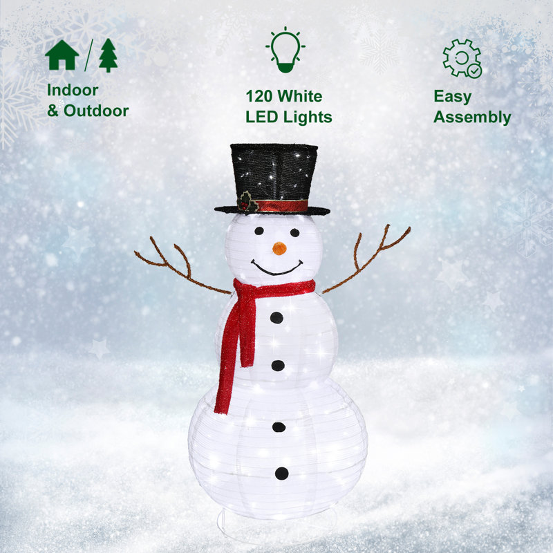 The Holiday Aisle® Snowman Lighted Display & Reviews | Wayfair