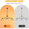 House of Hampton® Vintage 3 Light Chandelier, Brass Gold Dining Room ...