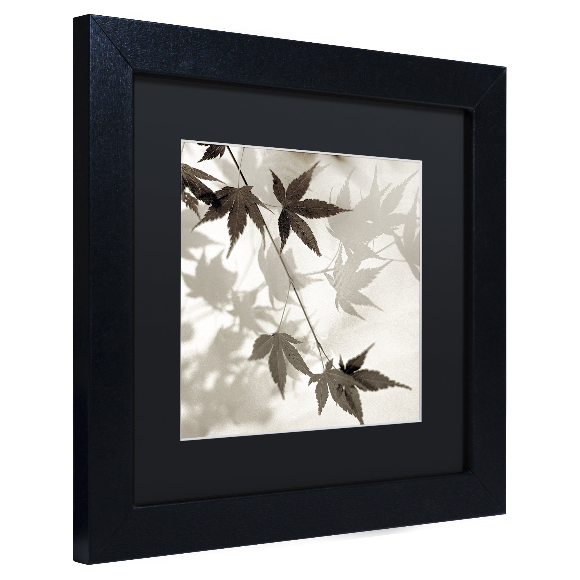 Ebern Designs Alan Blaustein 'Florison LXIII' Framed Photographic Print ...