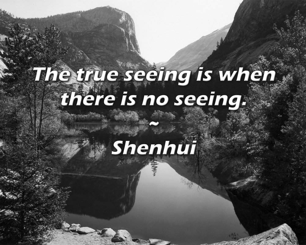 Ivy Bronx Shenhui Quote: The true seeing is when there is no seeing ...
