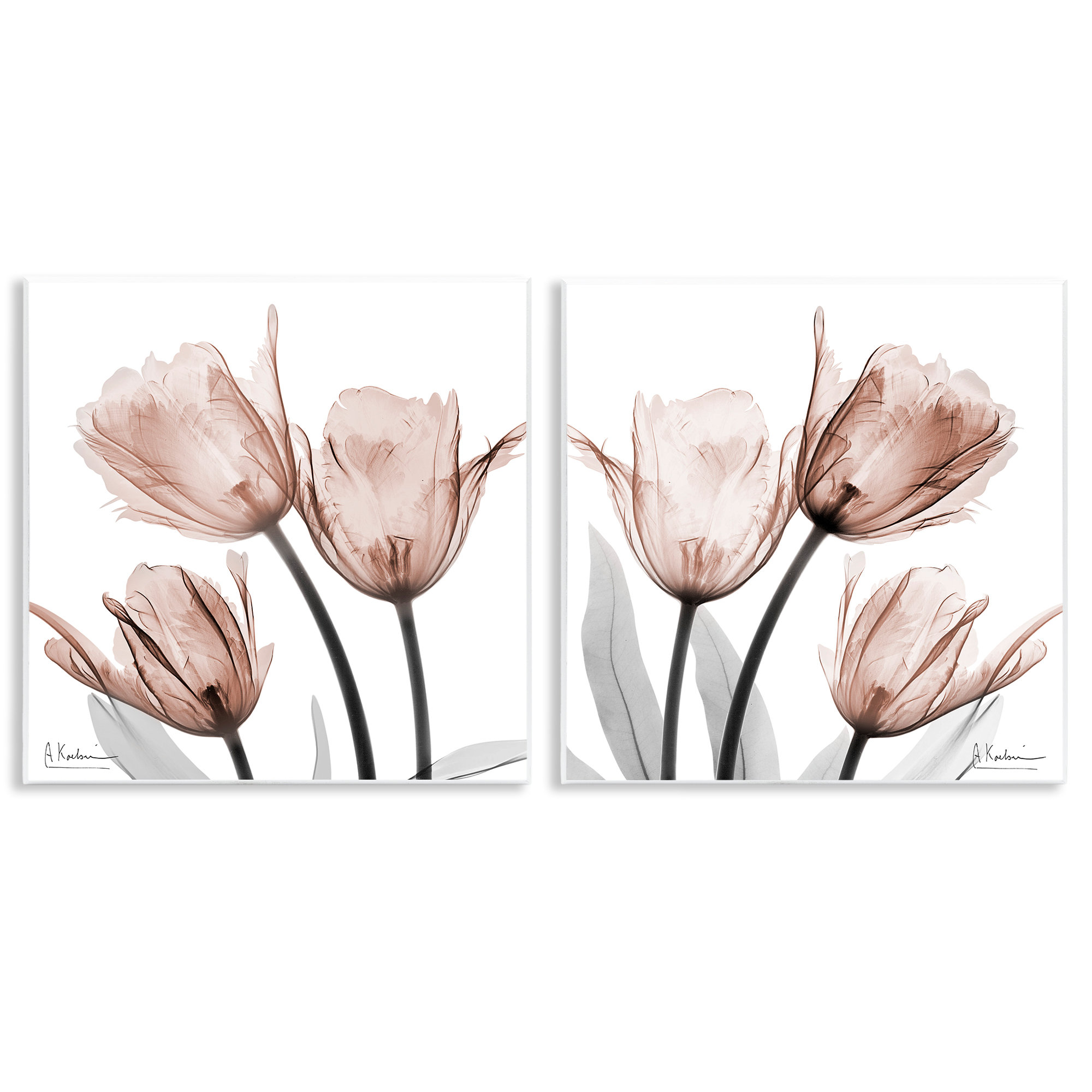 Winston Porter Translucent Blooming Tulips 2 Piece Wall Plaque Art Set ...