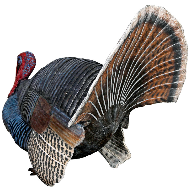 Design Toscano Wild Tom Turkey Grand Scale Animal Statue | Wayfair