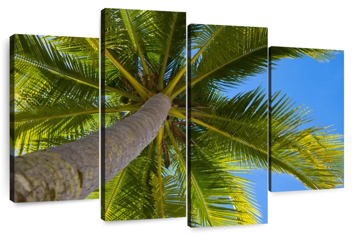 Lark Manor™ Harnek Coconut Tree Shade | Wayfair