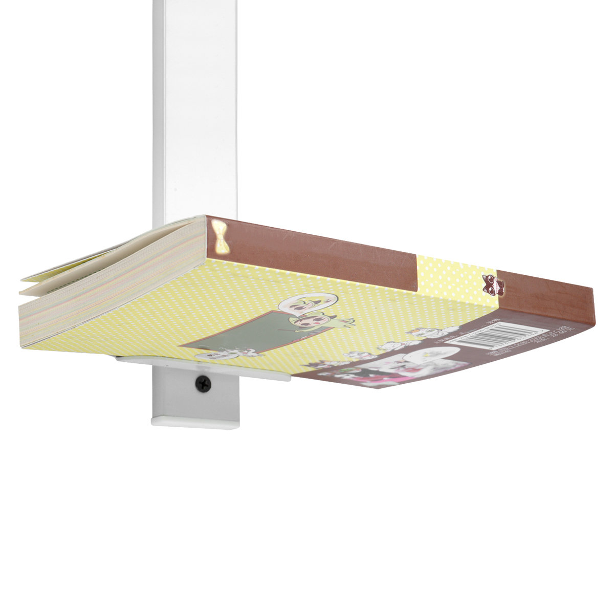 Ebern Designs Waldean Invisible Floating Bookshelf, Wall Mounted ...