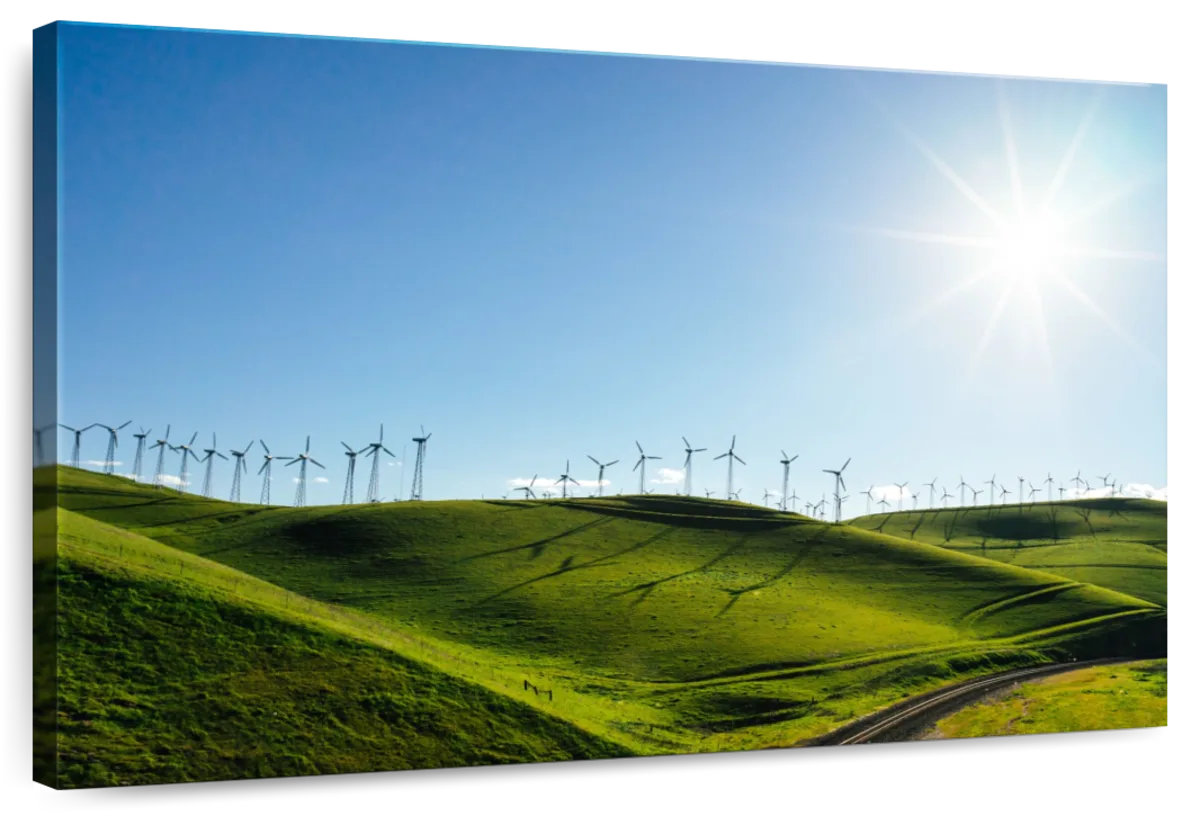 Elephant Stock Altamont Pass Wind Turbines | Wayfair
