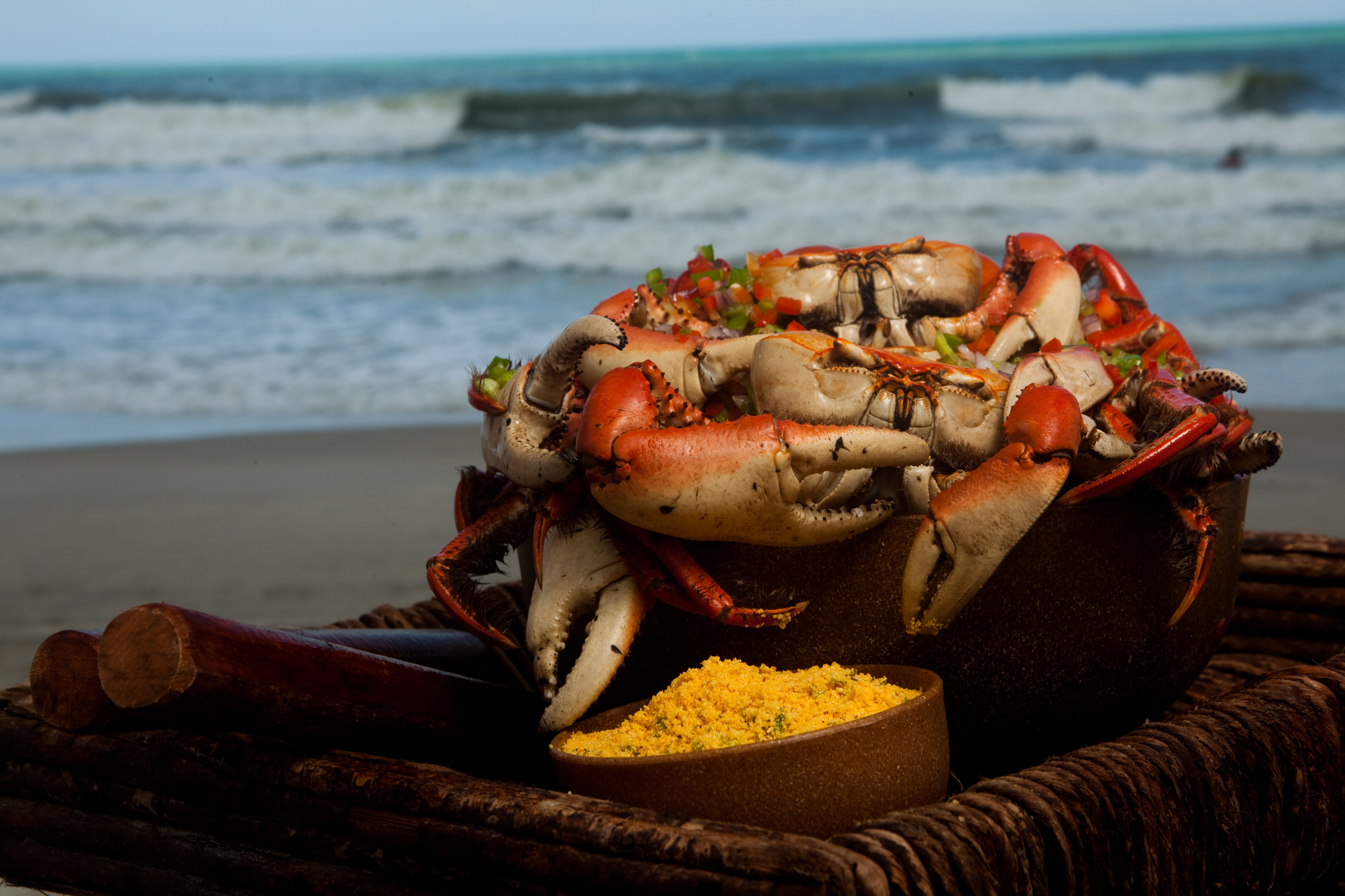 Highland Dunes Crab Meat - Wrapped Canvas Photograph - Wayfair Canada