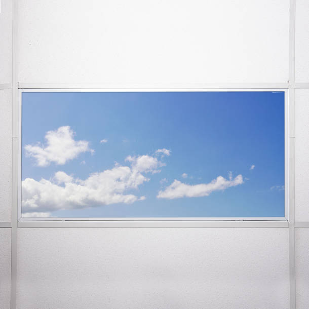 Octo Lights Cloud Classroom Fluorescent Light Covers for Ceiling Lights ...