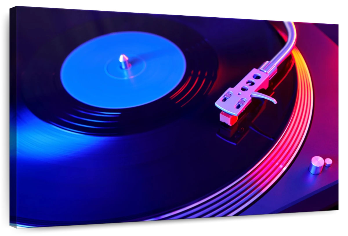 Elephant Stock Turntable Party Record - Wayfair Canada