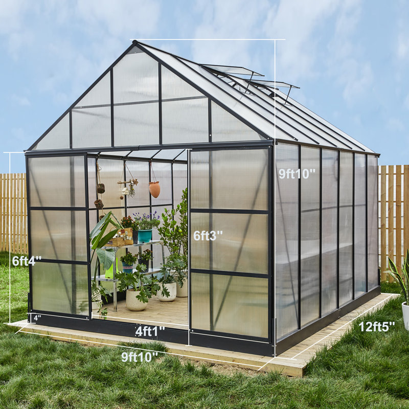 AMERLIFE 10' W x 12' D Hobby Greenhouse & Reviews | Wayfair