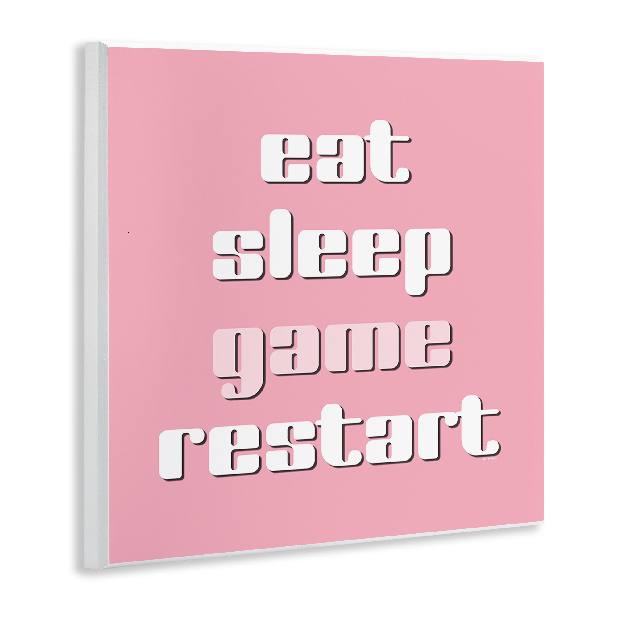 Ebern Designs Gamer Phrases on Pink Wall Plaque, design by Yass Naffas ...