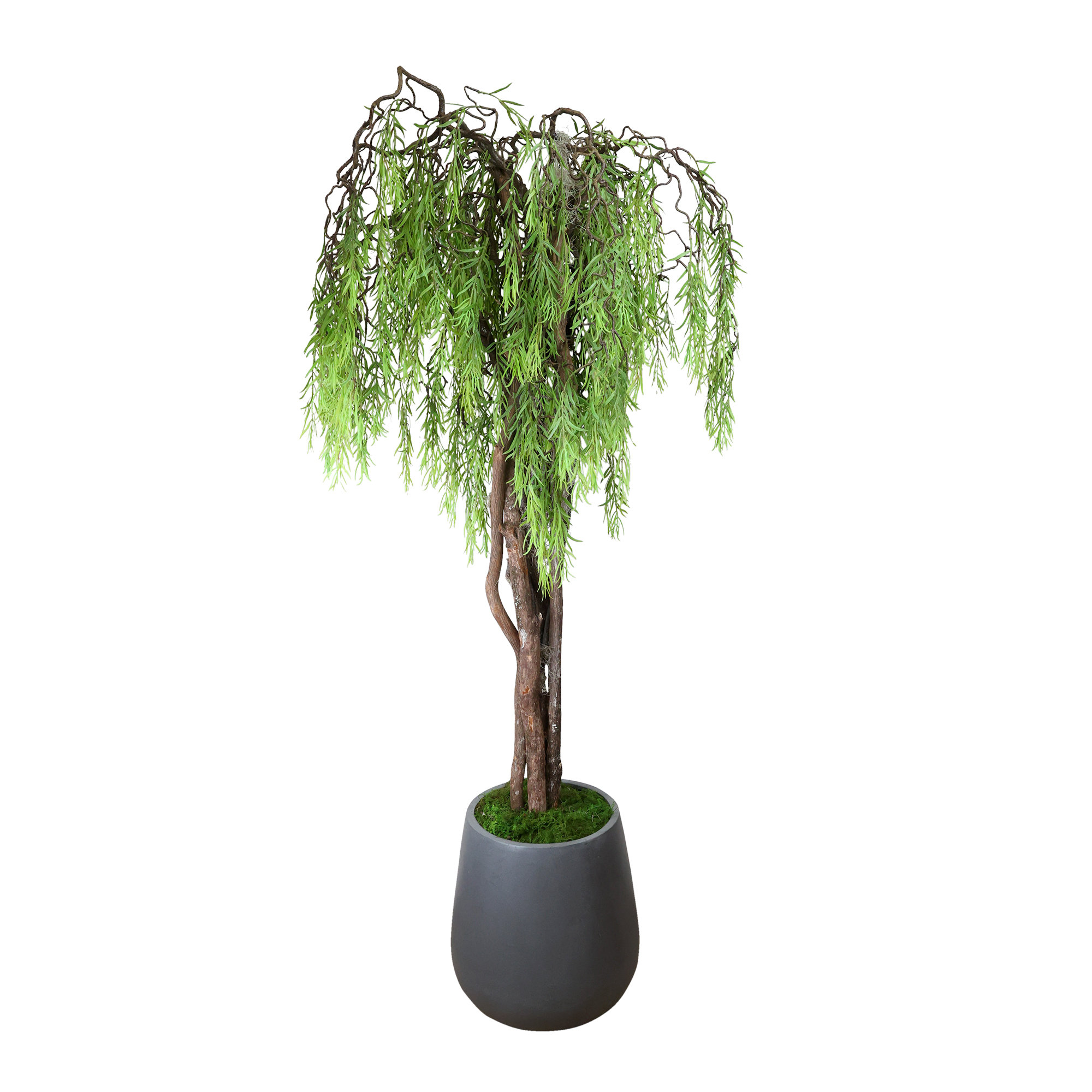 Creative Displays, Inc. 6.5' Weeping Willow Tree with Moss in ...