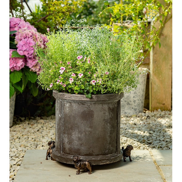 Jardinopia Pug Dog Bronze Coloured Planter Feet In Gift Box | Wayfair