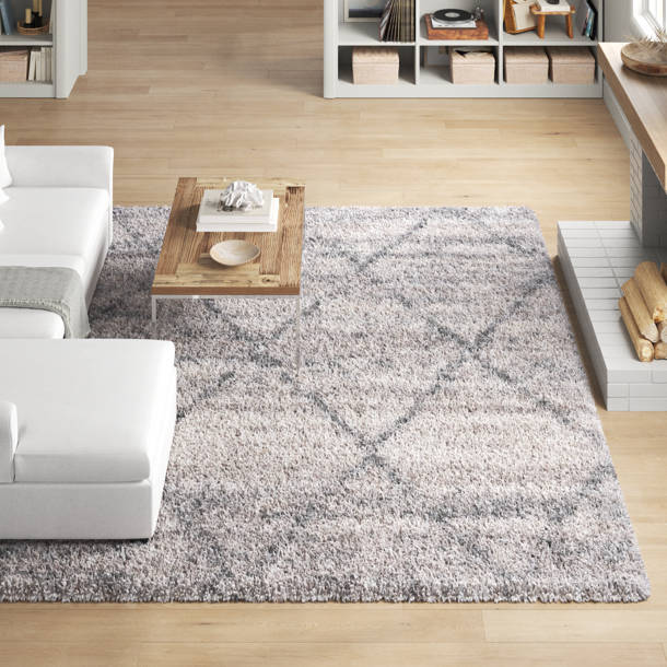 Sand & Stable Western Geometric Rug & Reviews | Wayfair