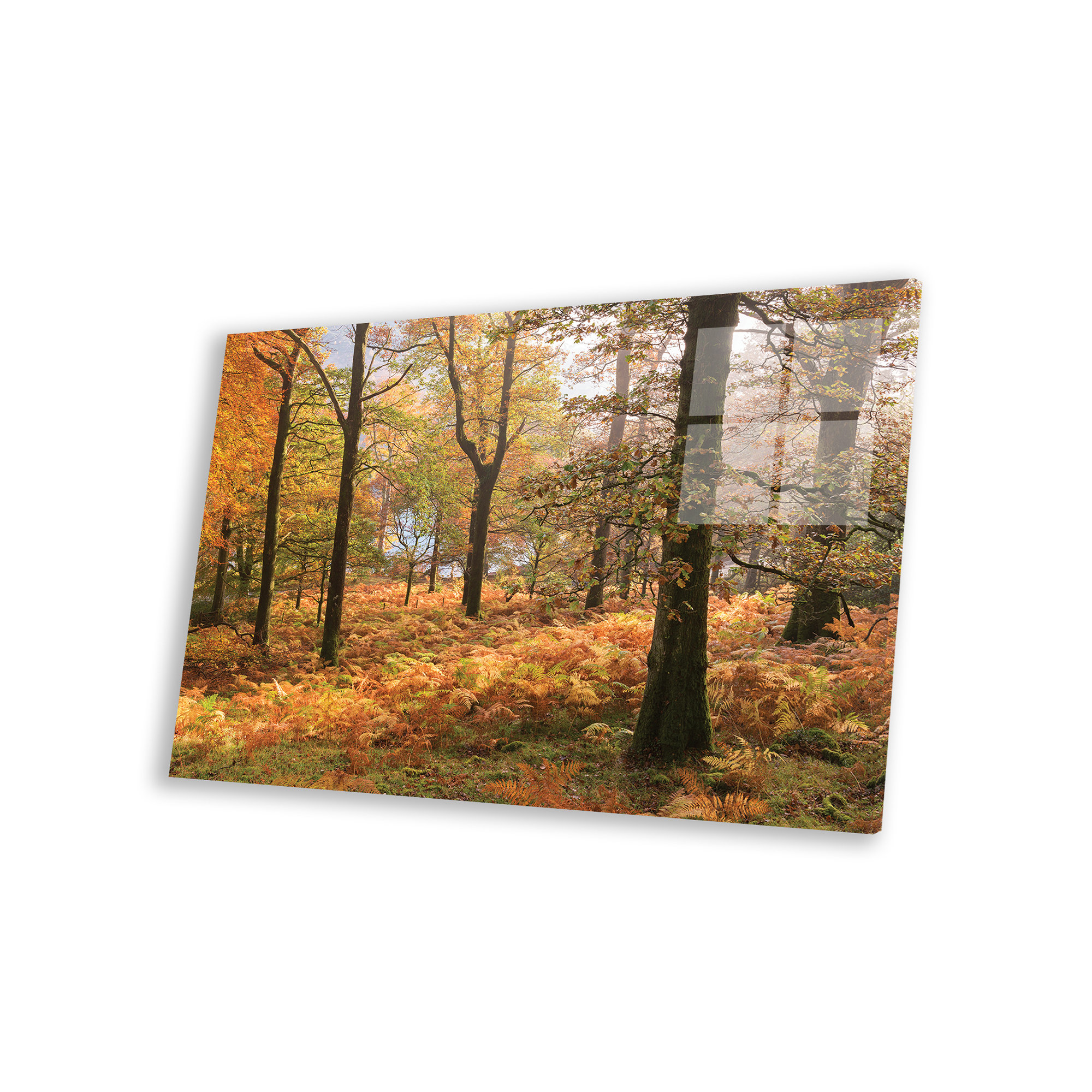 Millwood Pines Colors Of Autumn On Plastic / Acrylic by Adam Burton ...