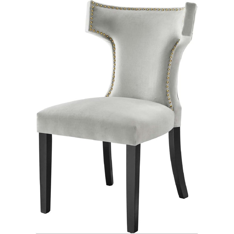 Rosdorf Park Giano Velvet Wing Back Parsons Chair | Wayfair