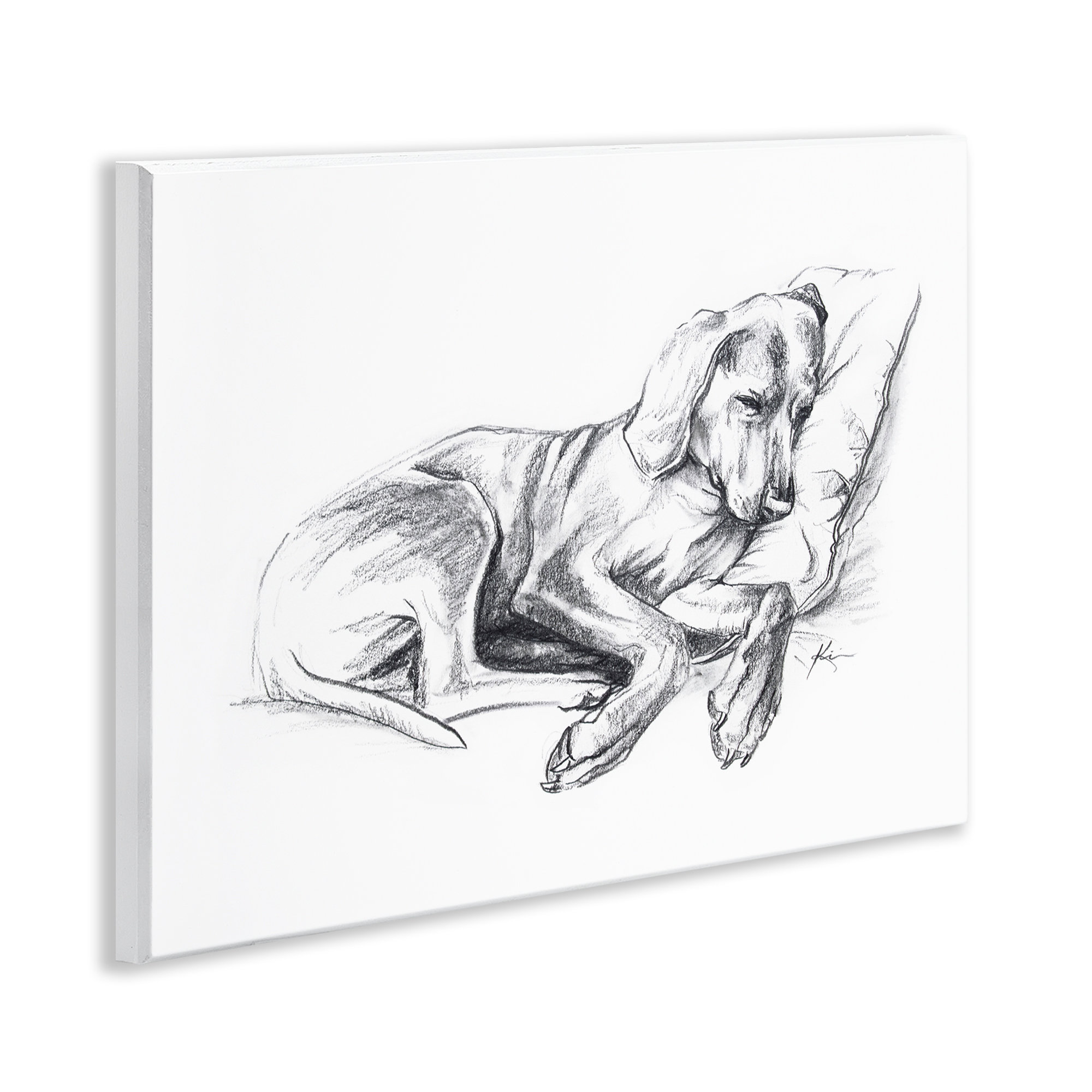Ebern Designs Napping Dog Drawing Wall Plaque Art by Lindsay Kivi Fine ...
