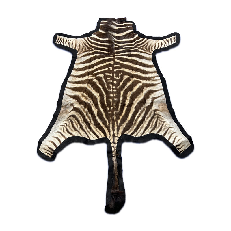 Bungalow Rose Real Zebra Skin Rug (Small Size) | Wayfair